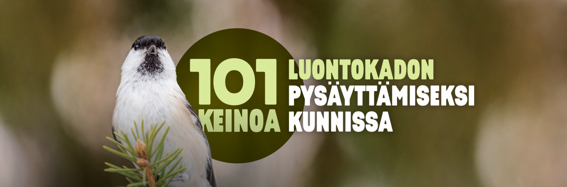 101 keinoa luontokadon pysäyttämiseksi kunnissa - Vihreät